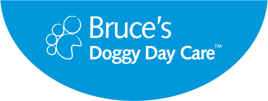 Login Page - Bruce's Doggy Day Care